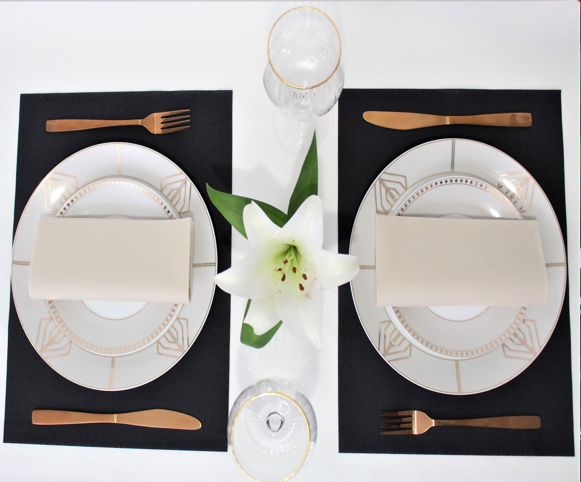 Pebble Stone Napkin | Pebble Stone Napkins | Disposable Airlaid Napkins